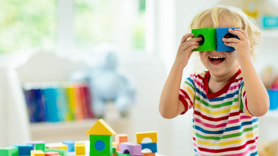 Learn Play Explore : Where Dreams Fly – LIVELY CHILDHOOD HUB